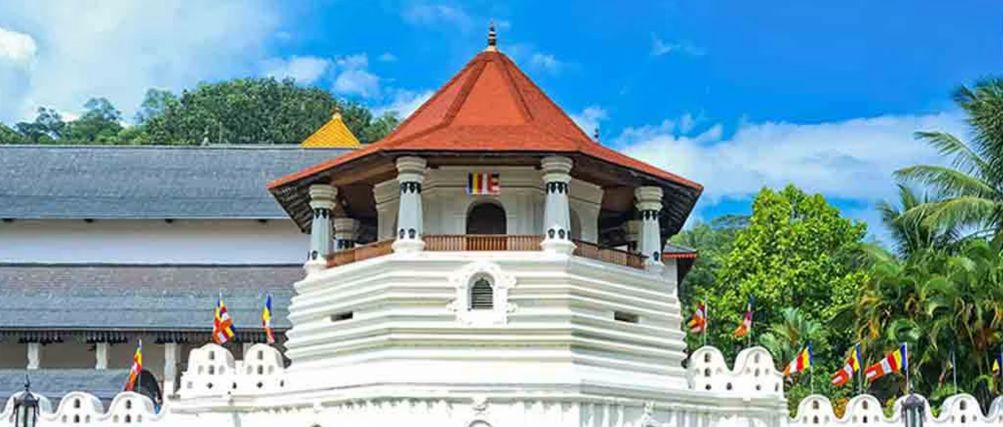Date for the exhibition of the Sacred Tooth Relic has been decided ...